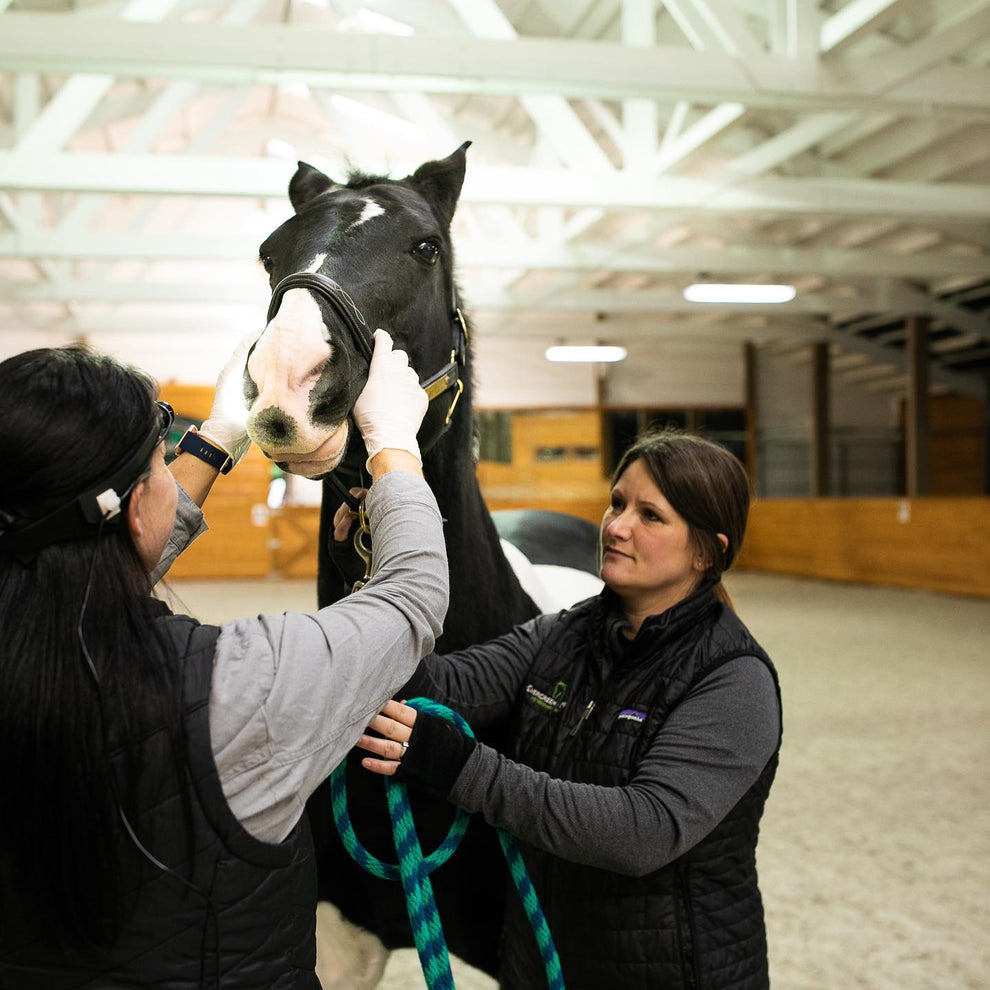 Evergreen Equine Hospital – PNW Equine Network