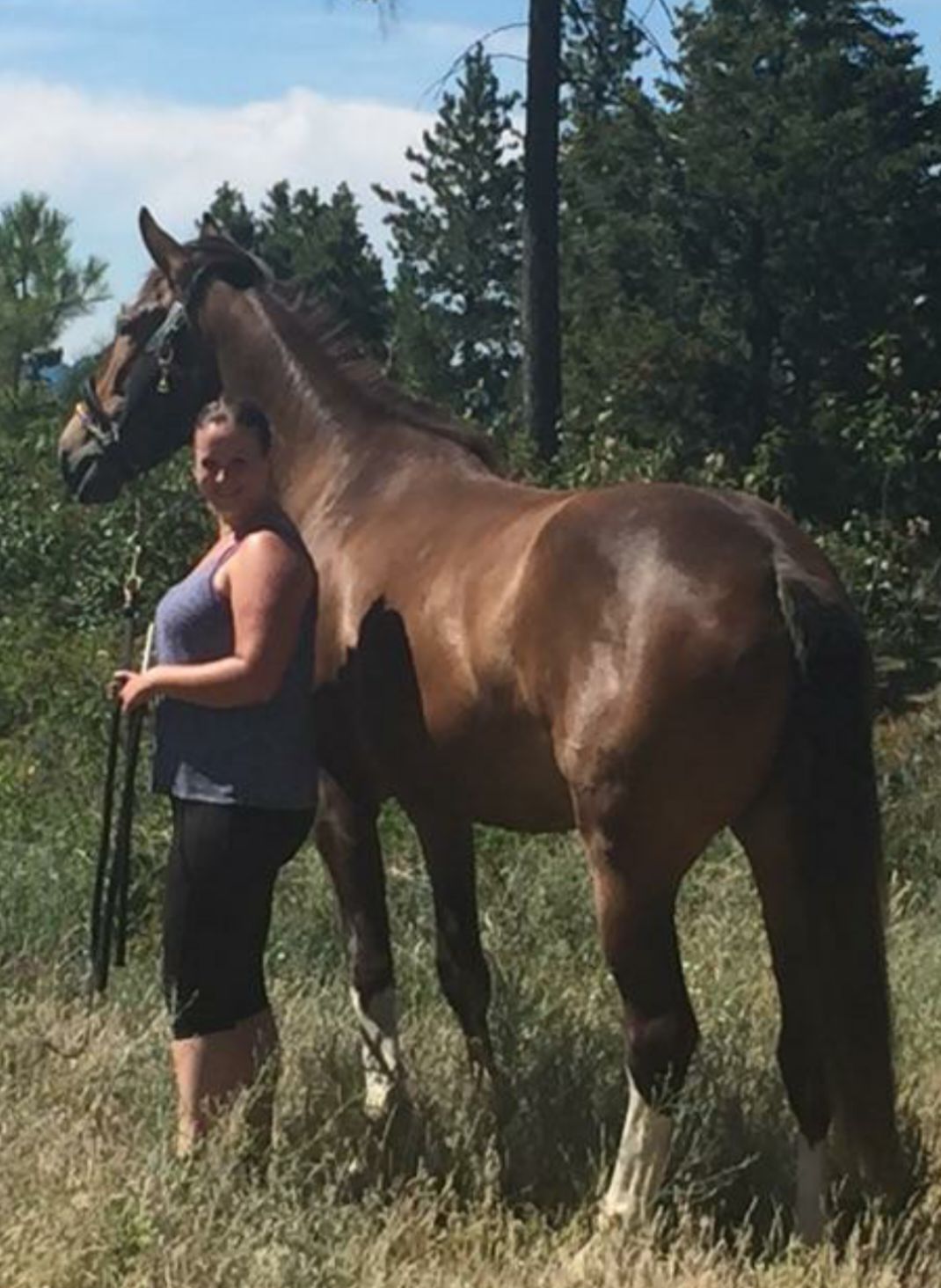 Logos – PNW Equine Network