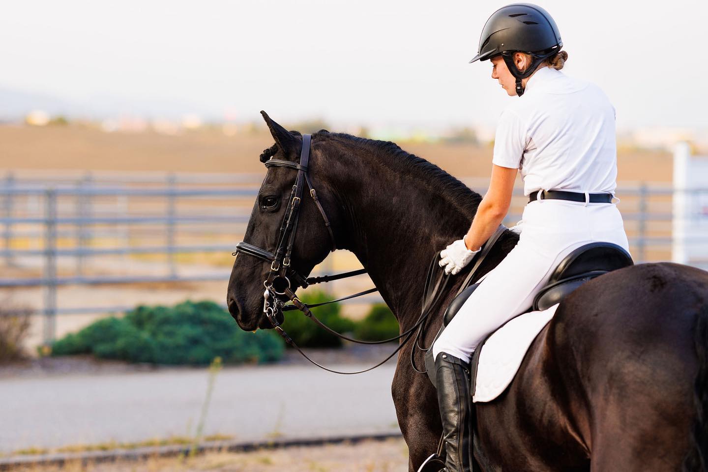 Rider of the Month – PNW Equine Network