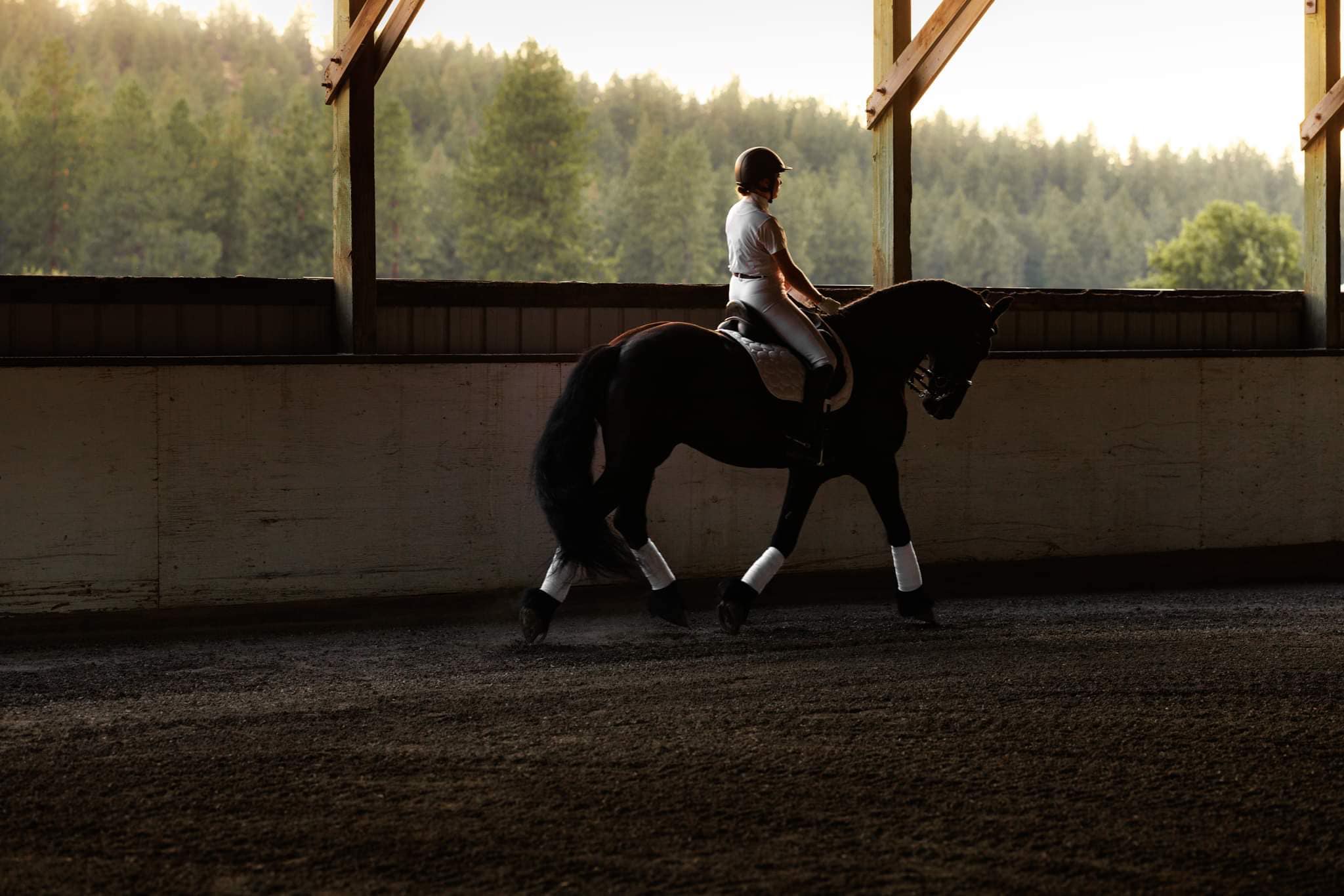 Rider of the Month – PNW Equine Network