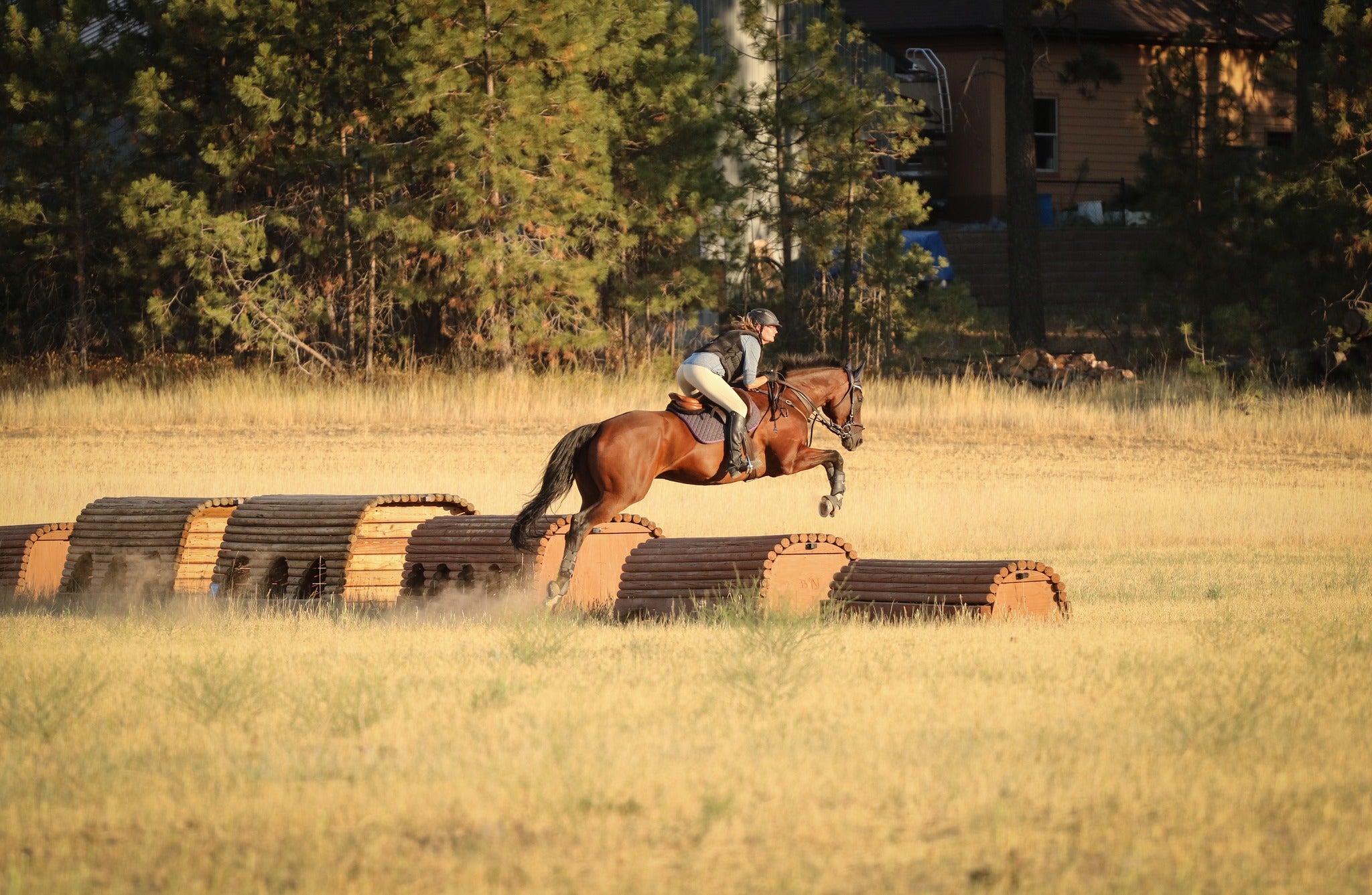 Rider of the Month – PNW Equine Network