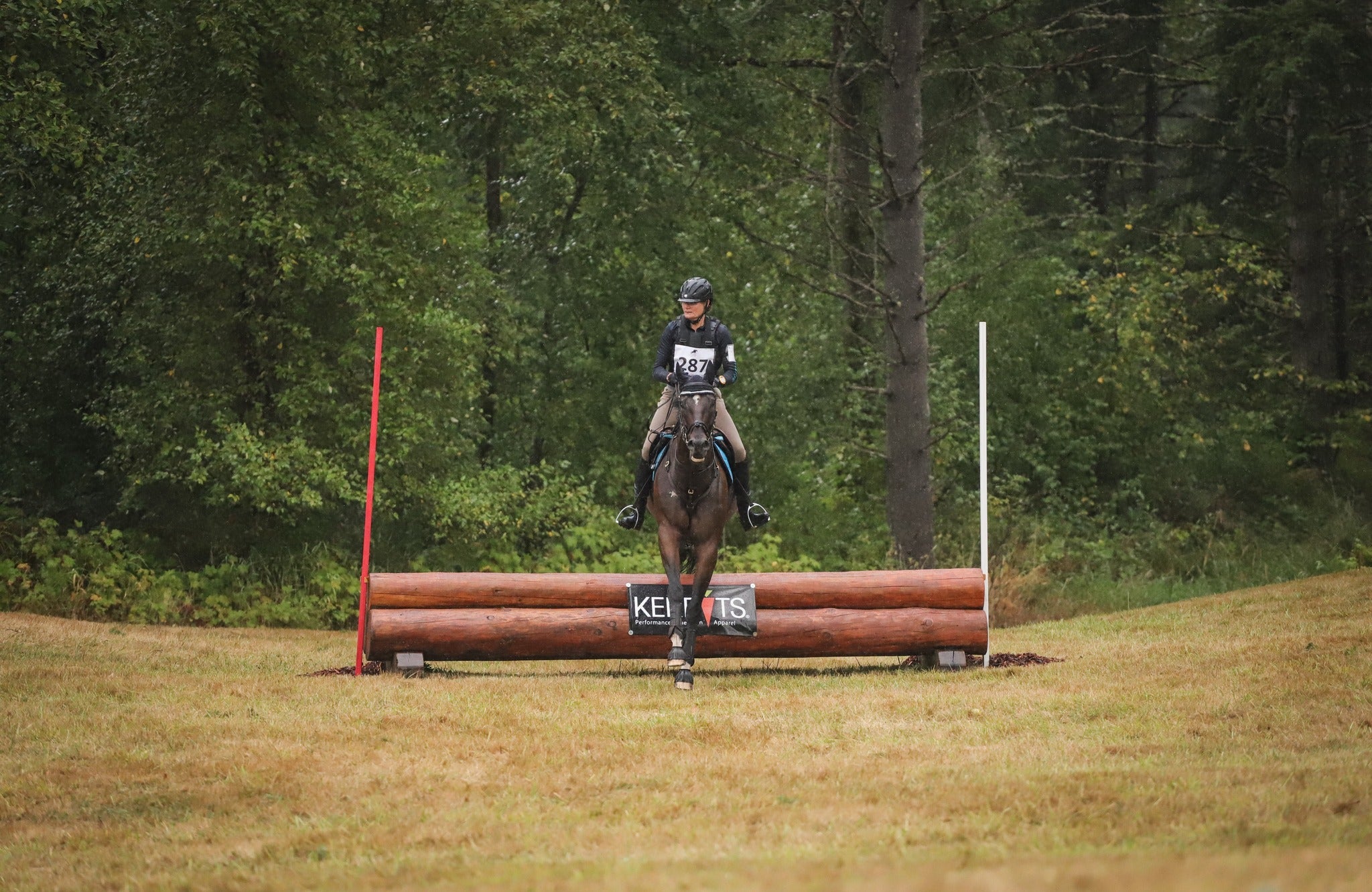 Rider of the Month – PNW Equine Network