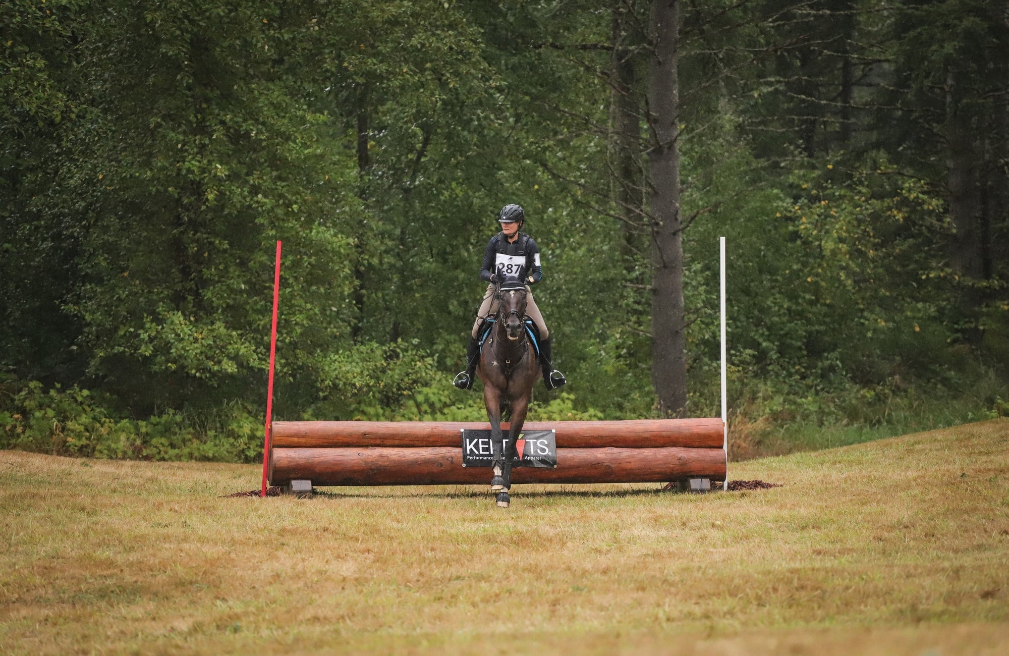 Rider of the Month – PNW Equine Network