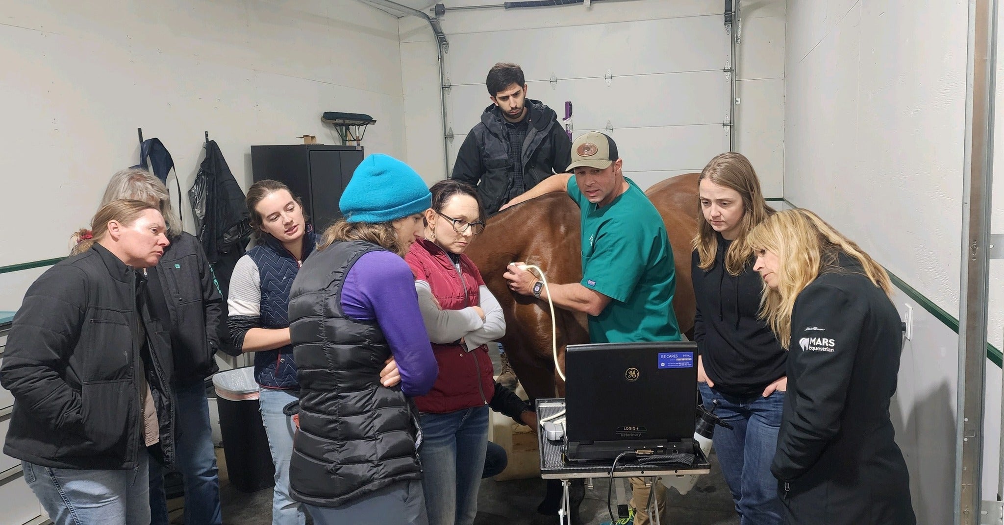 McKinlay & Peters Equine Hospital – PNW Equine Network